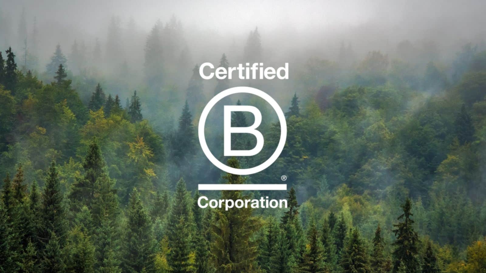 B Corp Certification: A Hatch Grad Experience